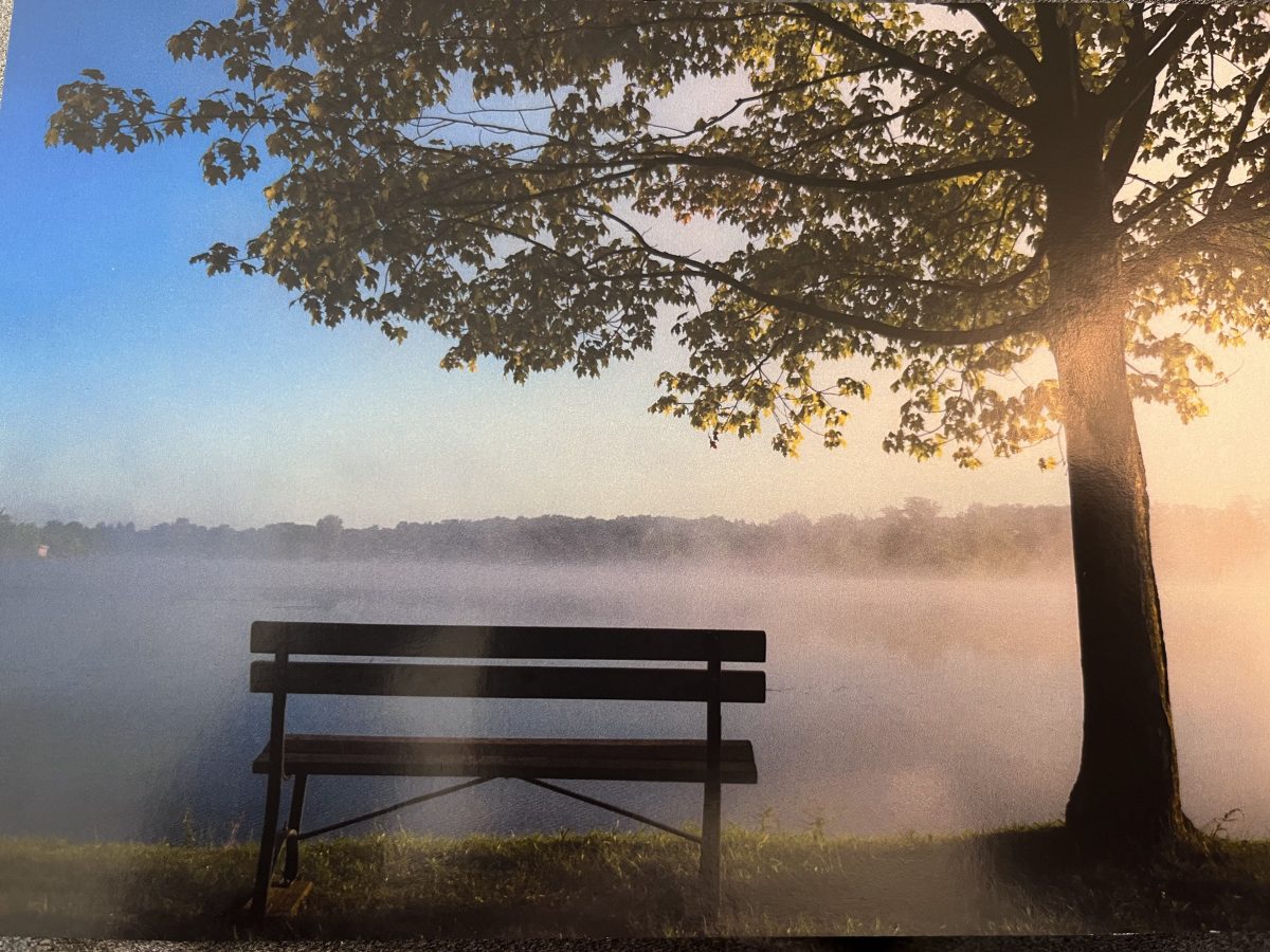 Old Friends and Foggy Photos – His Redeeming Pursuit